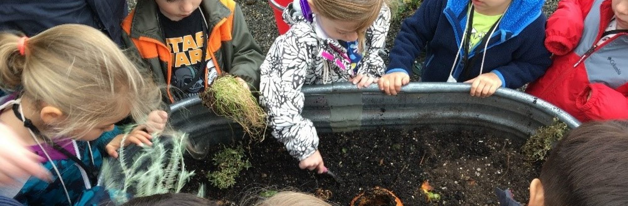 cropped-digging-in-dirt-outside-1.jpg – Sunrise Co-Op Preschool